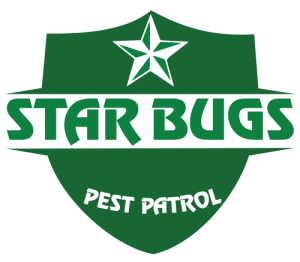 Pest Control & Management Services Singapore | Star Bugs
