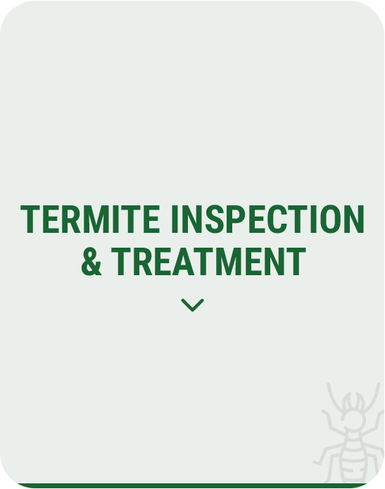 Services - Bed Bug, Mosquito & Termite Treatment | Star Bugs